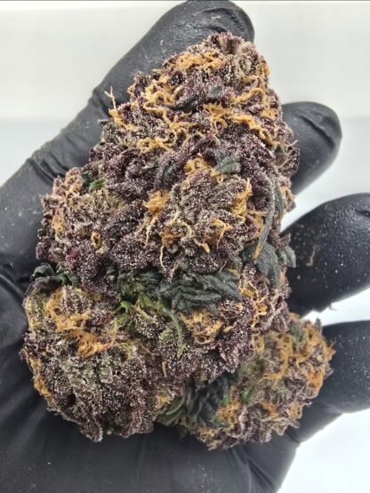 Gush Runtz aka Gruntz - Tiki Cuts